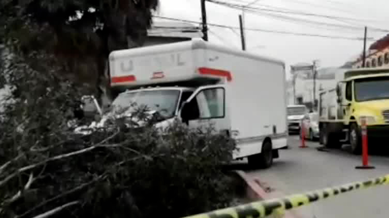 Detienen a 7 personas tras balacera en Tijuana- Grupo Milenio