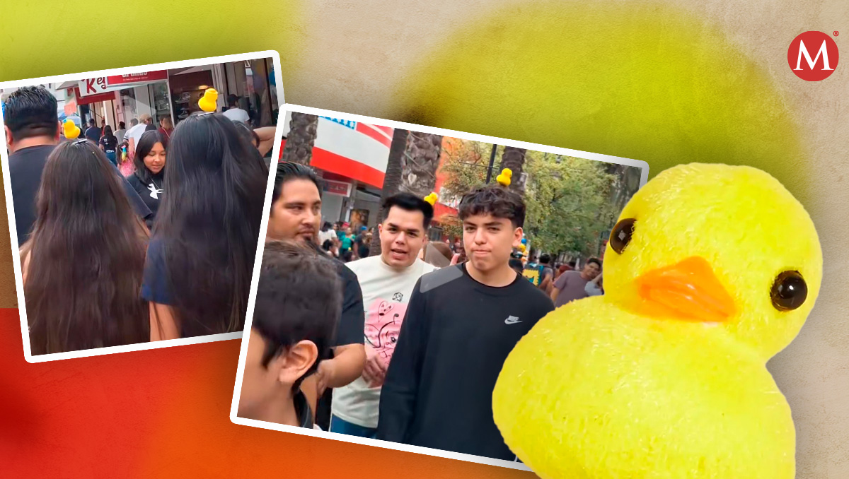 Memes D Patitos 15 Ideas De Patitos Cool | Fotografías Divertidas De