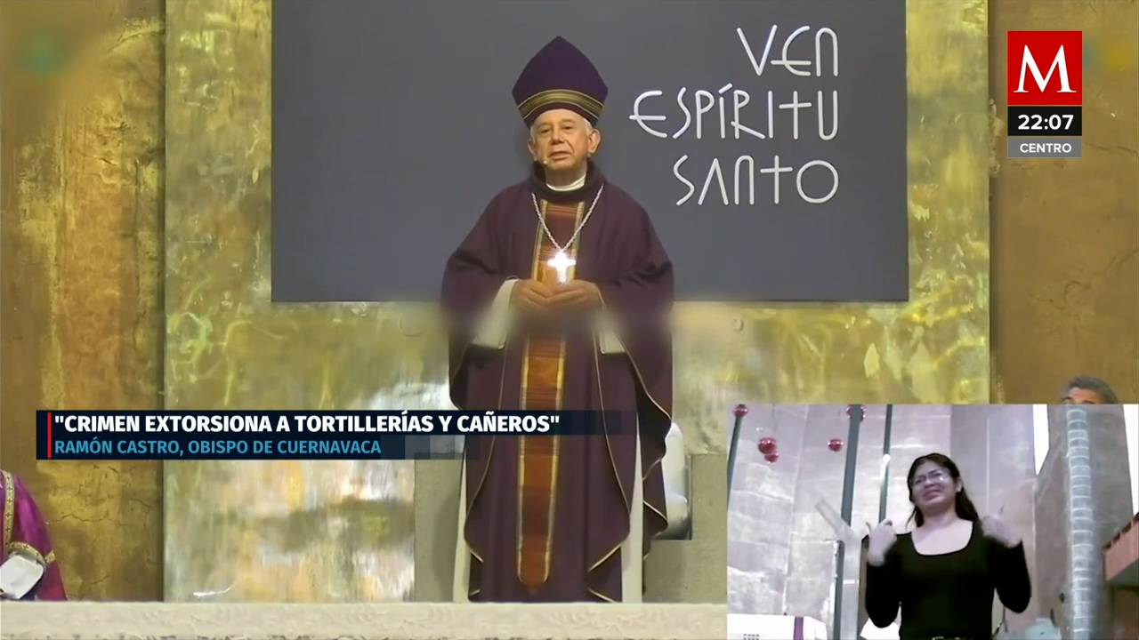 Descubre el Origen del Video del Gatito Negro Disociado en TikTok ...