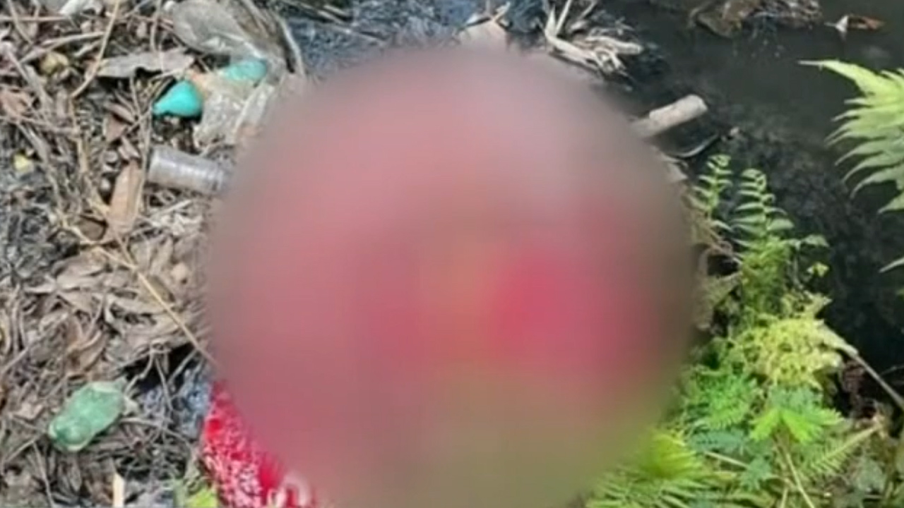 En Veracruz, encuentran cuerpo de mujer envuelto en cobijas- Grupo Milenio