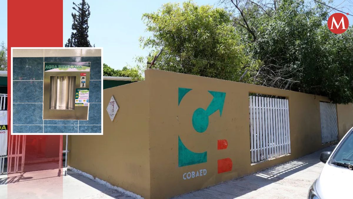 Estudiantes de Cobaed Lerdo diseñan e instalan purificadora de agua ...