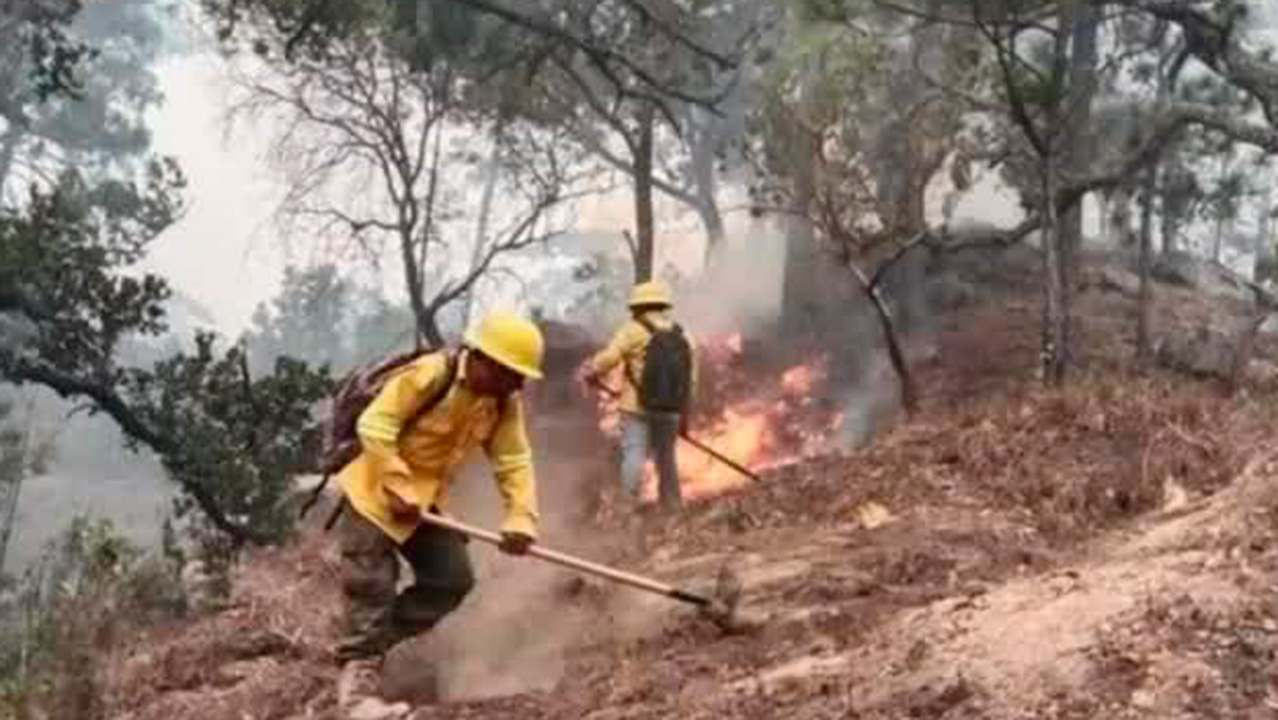 En Oaxaca, logran sofocar incendio tras 36 días de actividad - Grupo ...