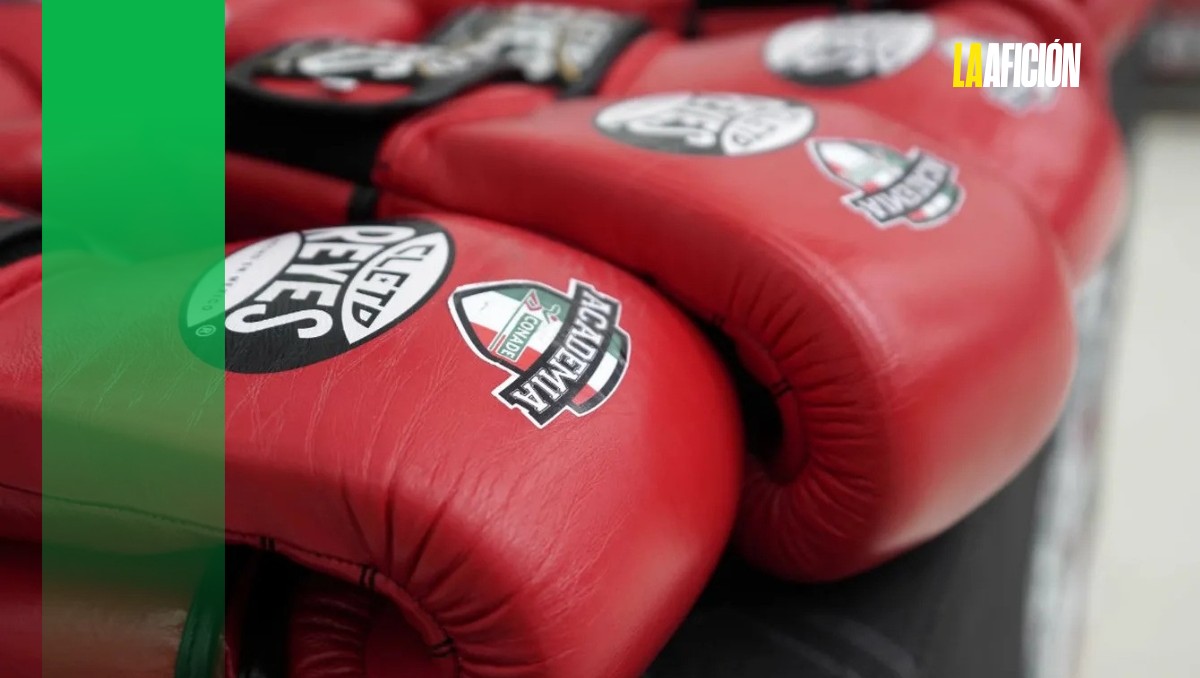 ¿Cuál es el equipo necesario para comenzar a entrenar boxeo?- Grupo Milenio