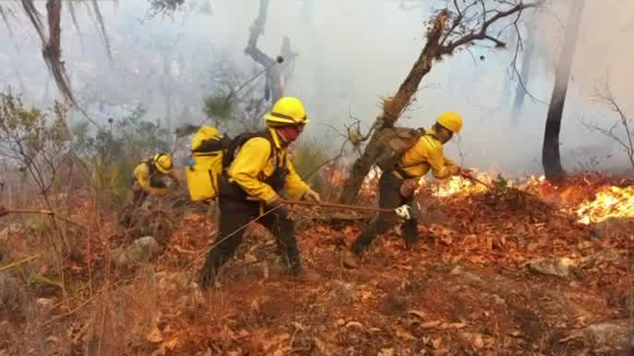 En Oaxaca, rescatan a dos brigadistas atrapados en un incendio- Grupo ...