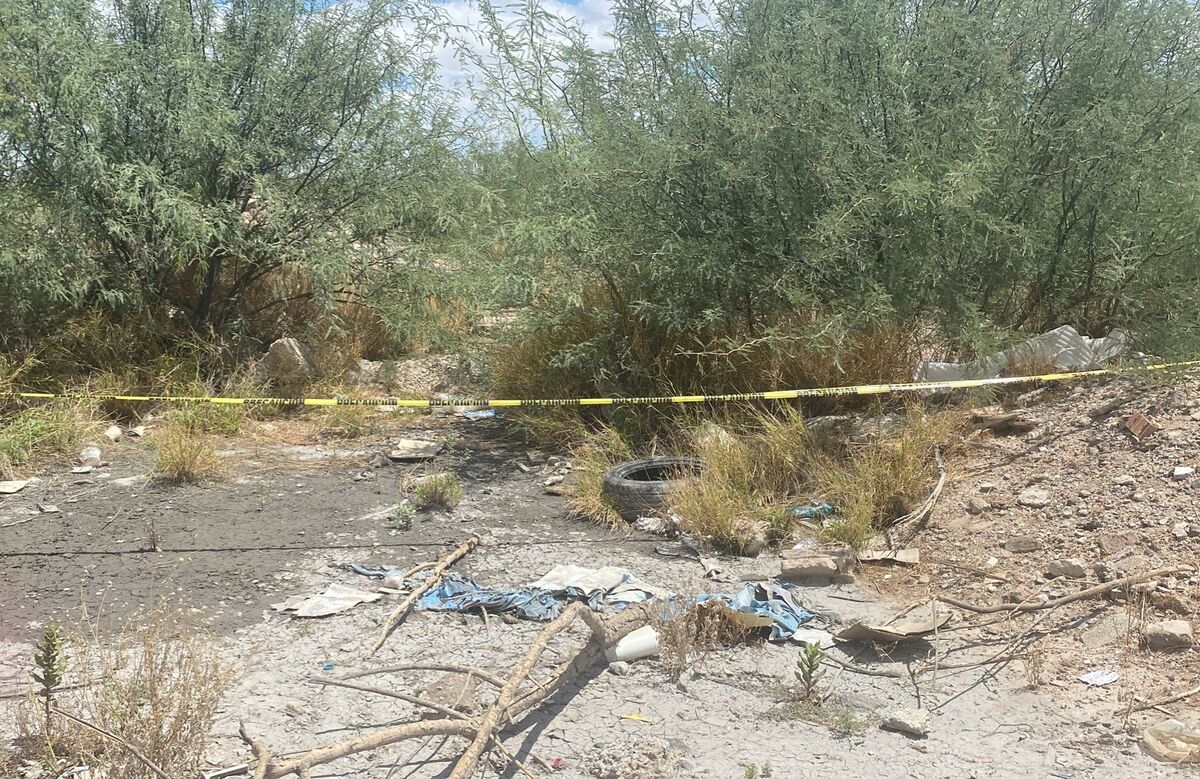 Hallan cuerpo en estado de descomposición en terreno baldío de Torreón- Grupo Milenio