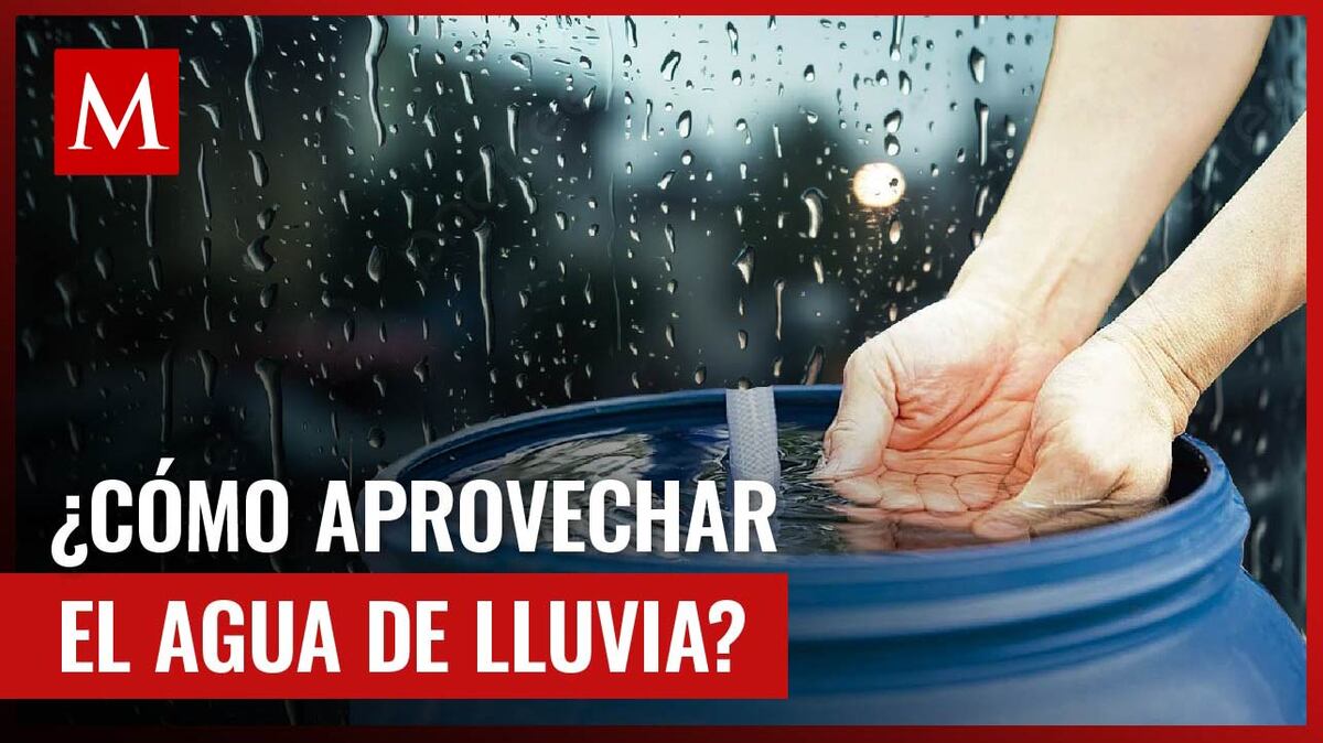 Así puedes aprovechar el agua de lluvia con la recolección- Grupo Milenio