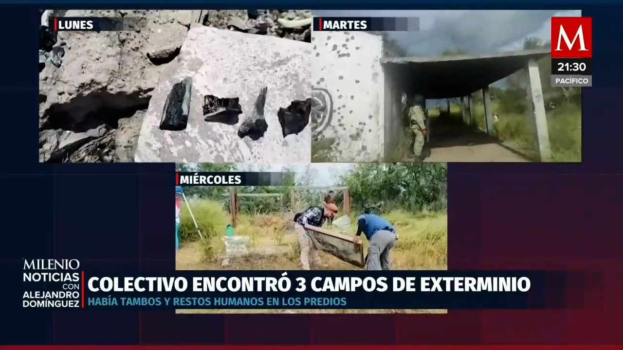 Campos de exterminio en Tamaulipas: colectivo solicita ayuda federal- Grupo Milenio