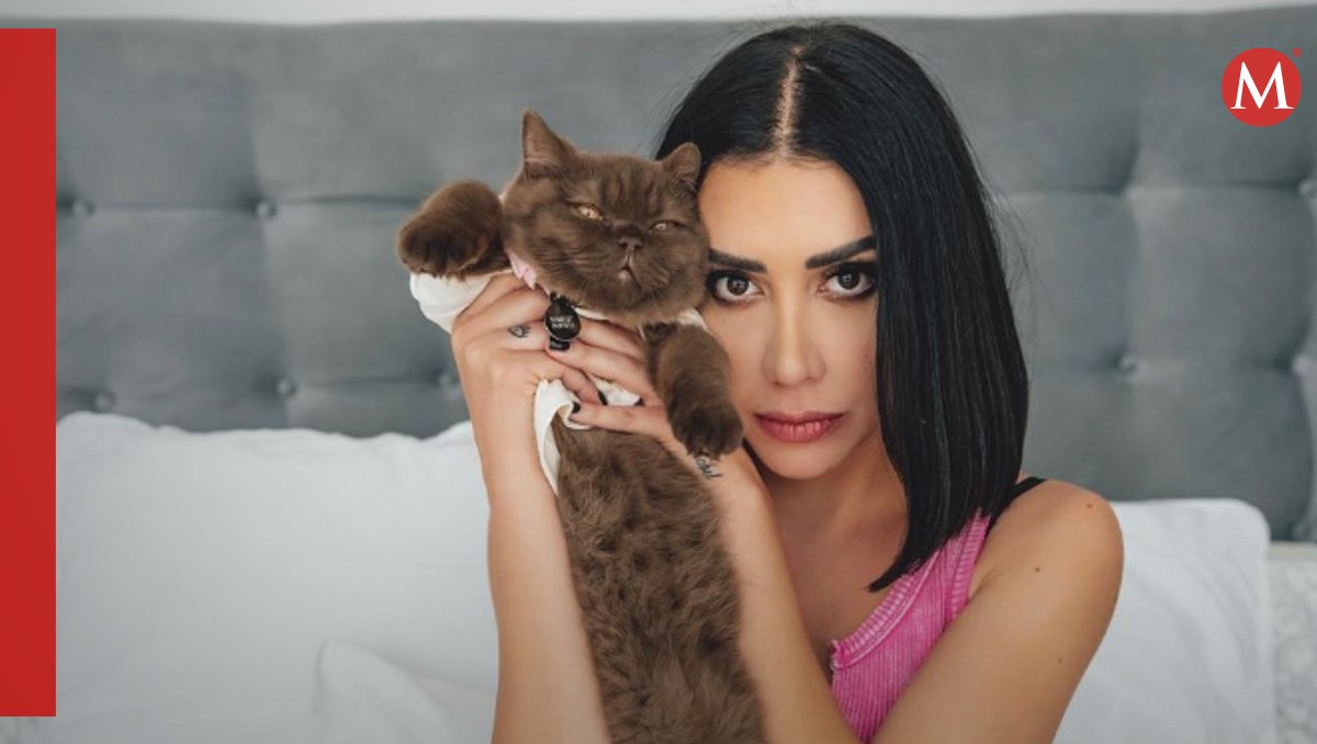 El es Norris gato de Karime Pindter de la Casa de los Famosos México ...