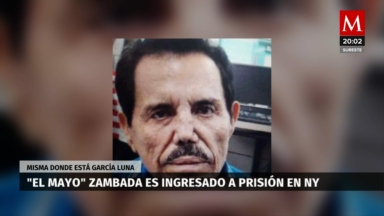 Noticias de Cártel de Sinaloa en Milenio- Grupo Milenio