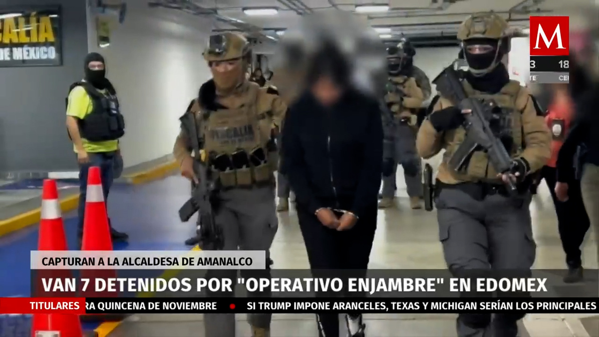 Operación Enjambre: 7 servidores detenidos y un muerto. Magda González ...
