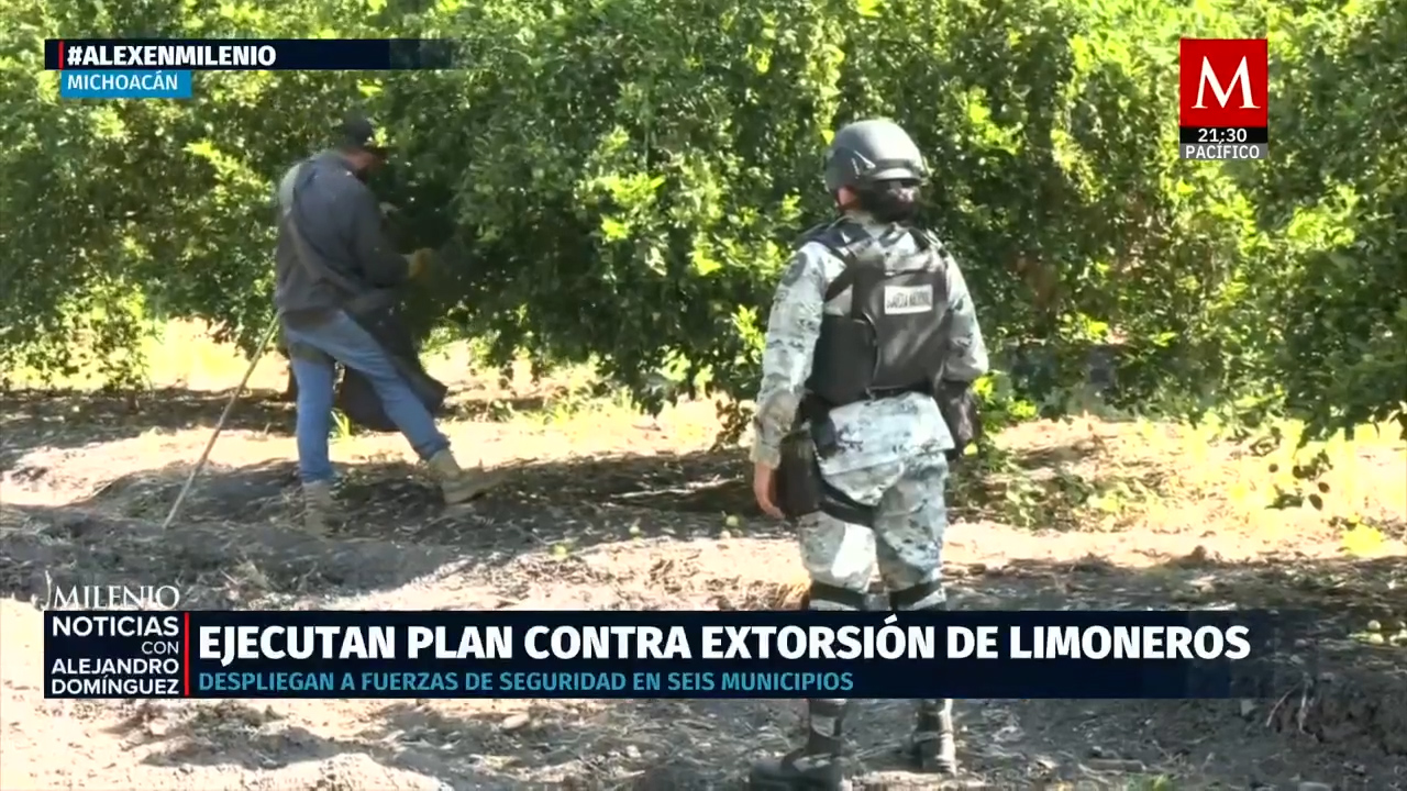 Operativo en Michoacán para combatir extorsión a productores de limón- Grupo Milenio