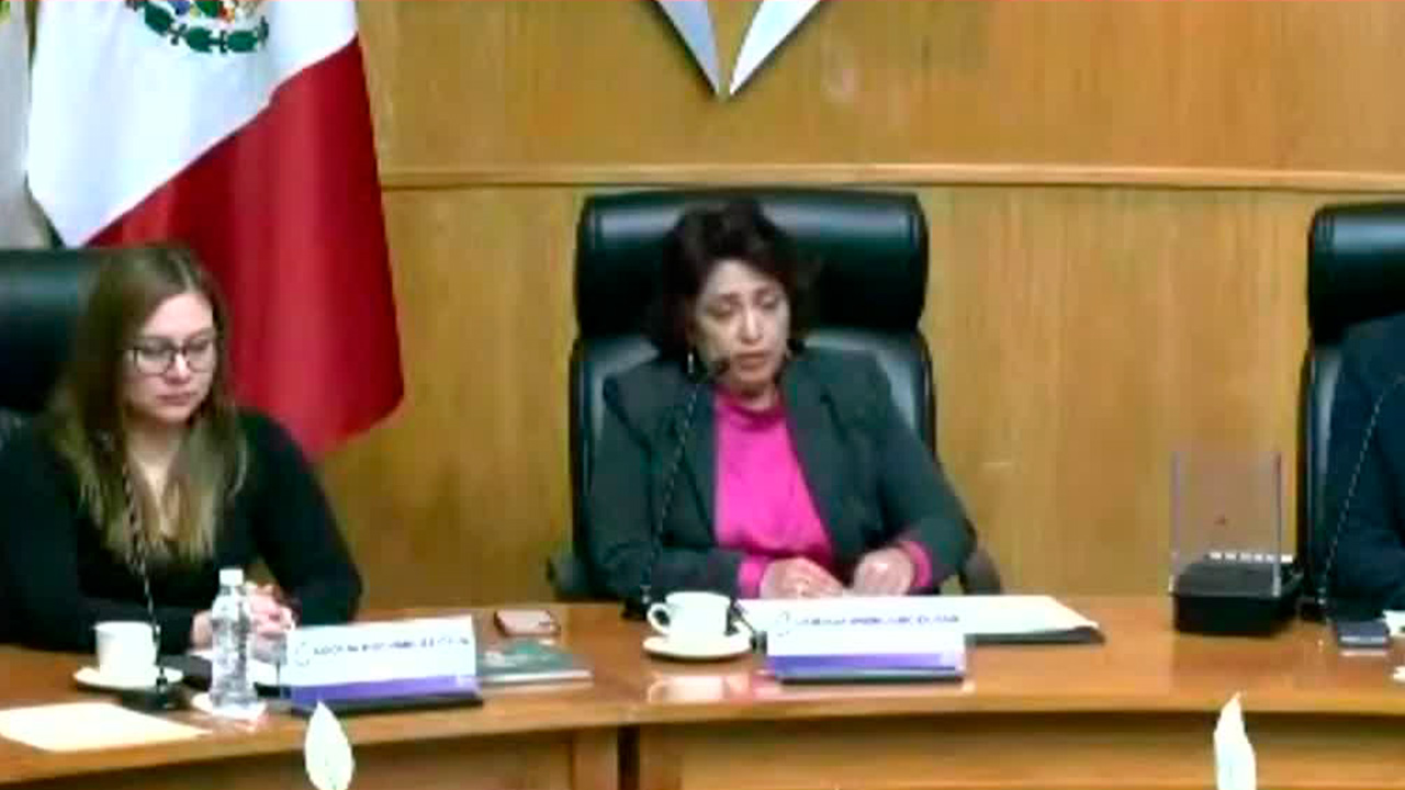 Erika Estrada, consejera de IECM, habla sobre elección judicial- Grupo ...