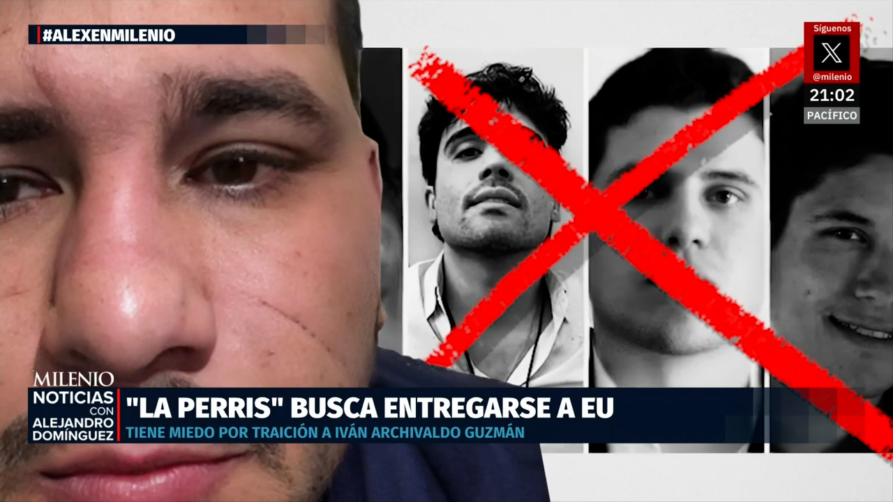 ‘La Perris’ busca entregarse tras delatar a miembros de Los Chapitos ...