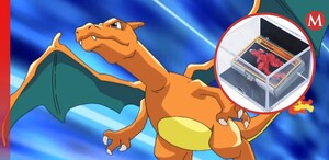 Virales | Videos, fotos y la tendencia actual de las redes sociales ...