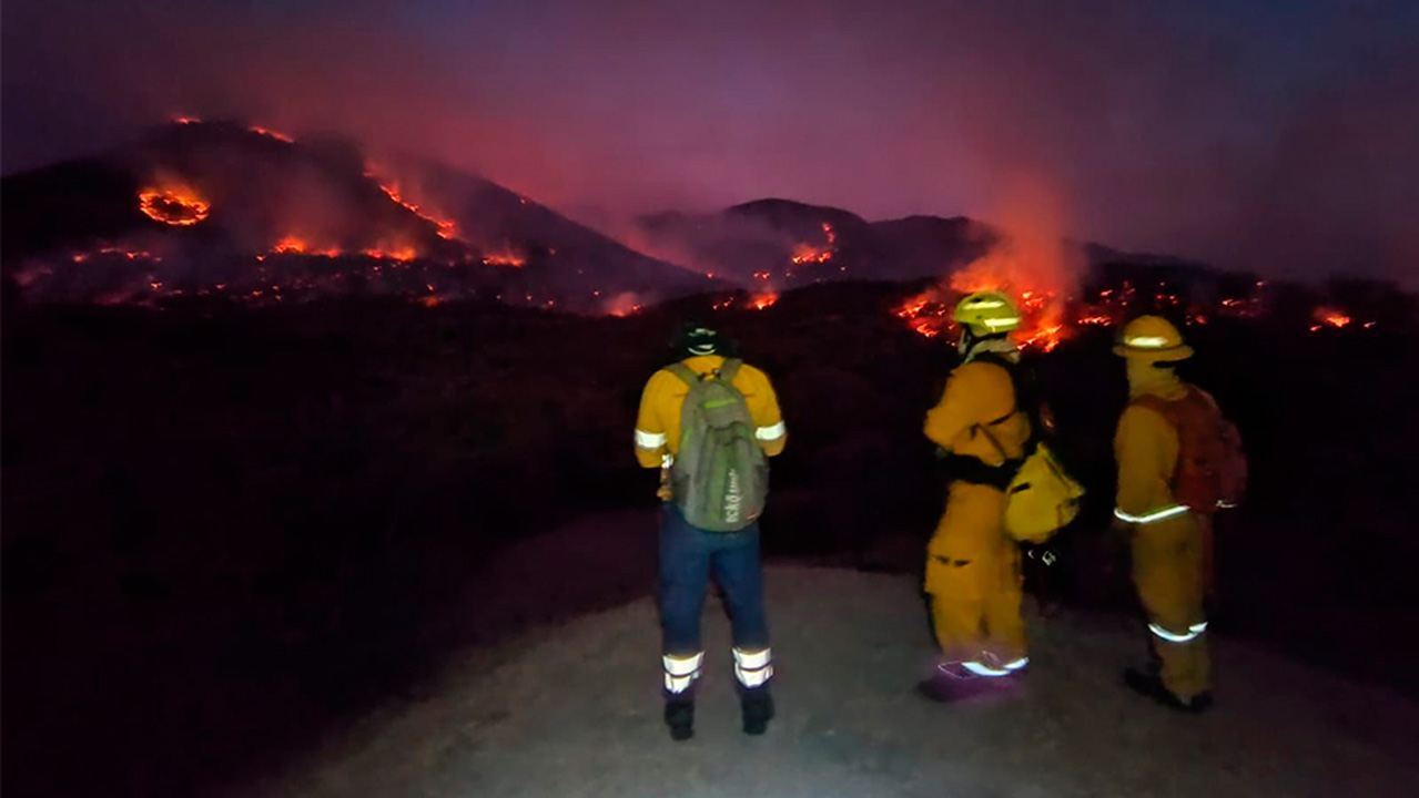 Tres días de incendio en Iguala consume 150 hectáreas- Grupo Milenio