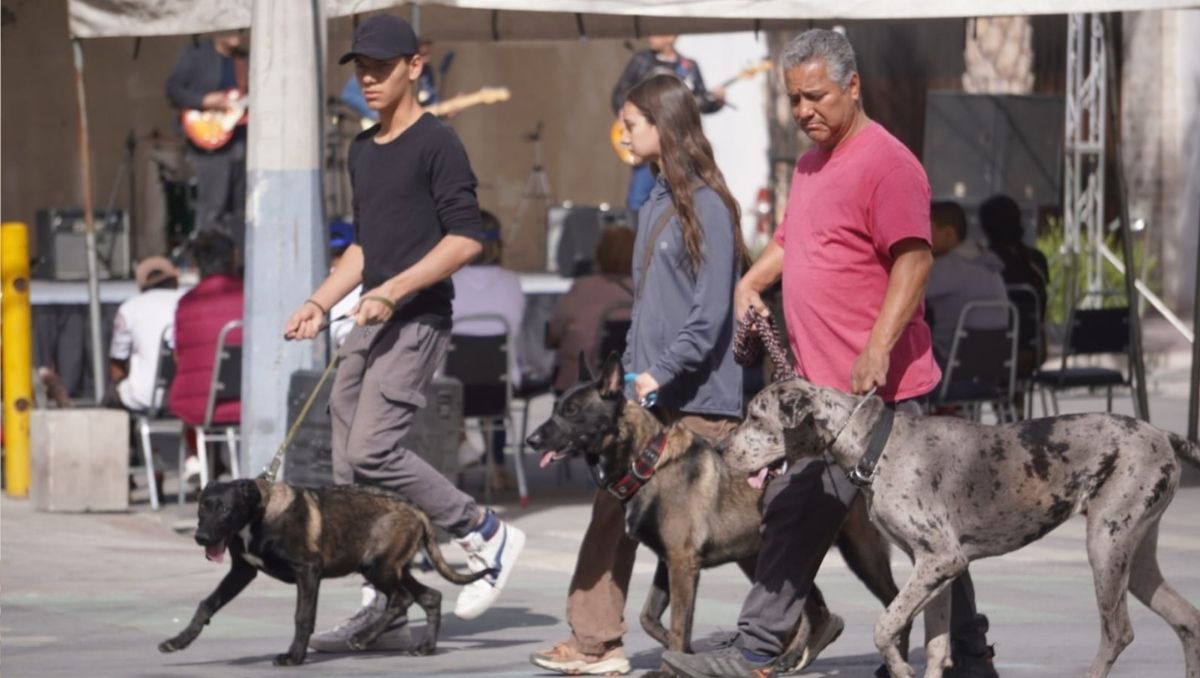 Paseo Colón: Actividades para el domingo 20 de abril del 2025- Grupo ...
