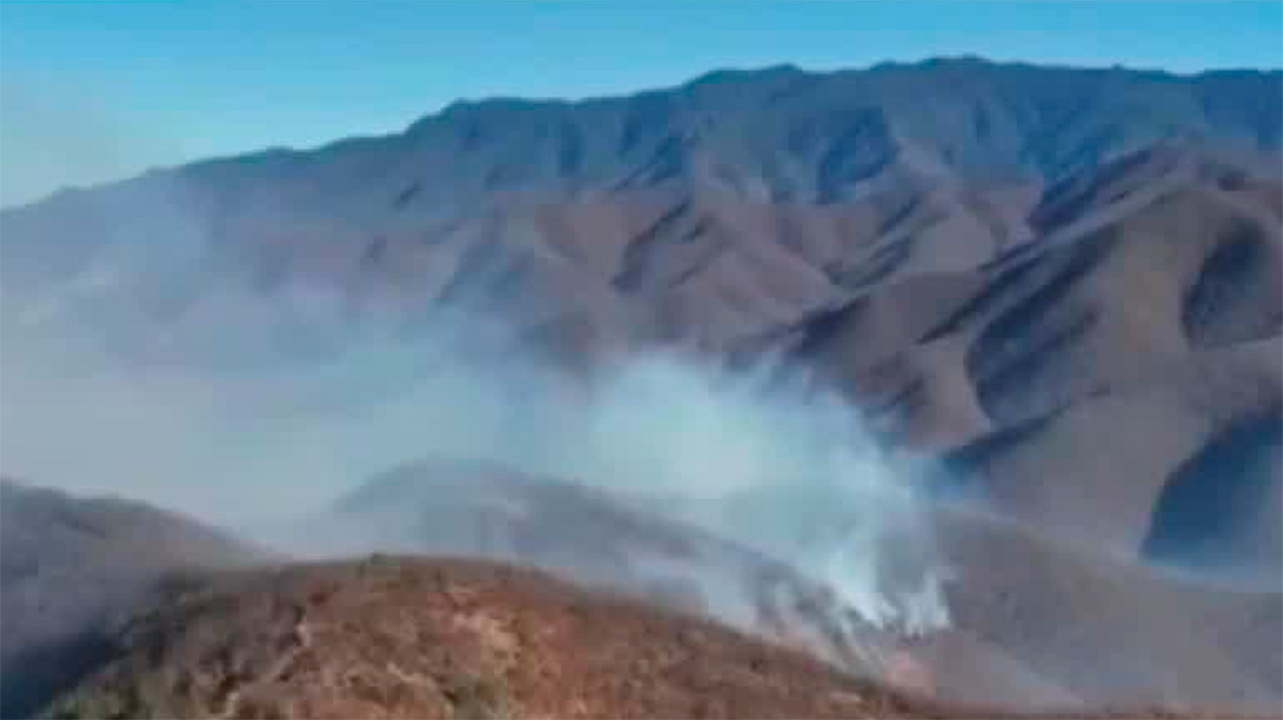 22 de abril, Día Internacional de la Madre Tierra | Milenio Hábitat ...