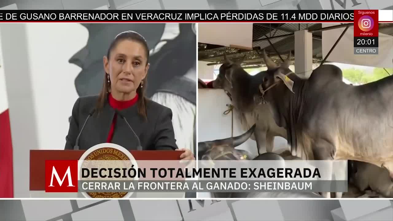 Noticiero completo de Pedro Gamboa del 10 de julio de 2025- Grupo Milenio