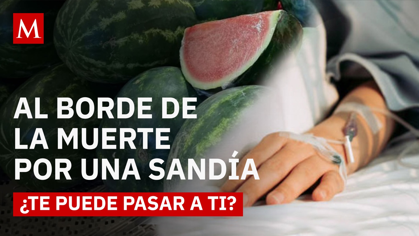 Laisha Wilkins recibe una notificación del TEPJF tras una denuncia- Grupo Milenio