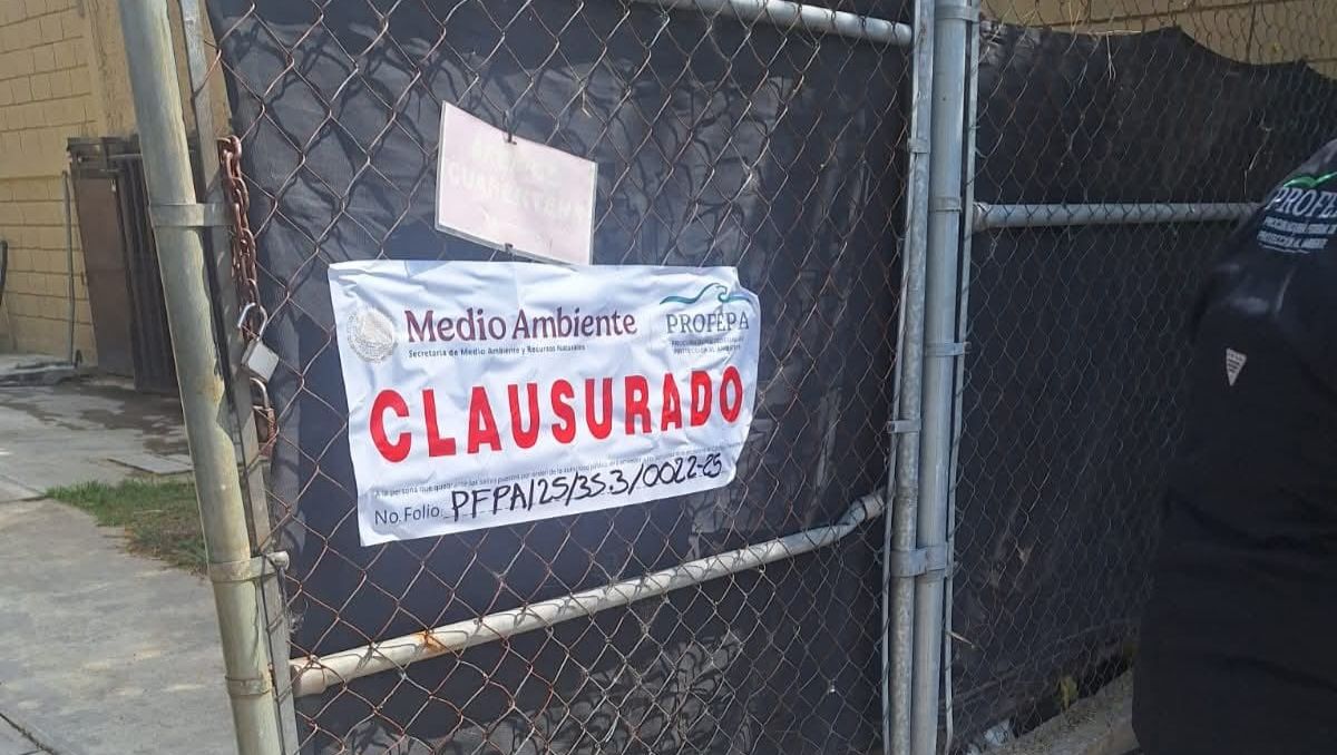 Clausura Profepa Parque La Pastora en Guadalupe por caso de osa Mina ...