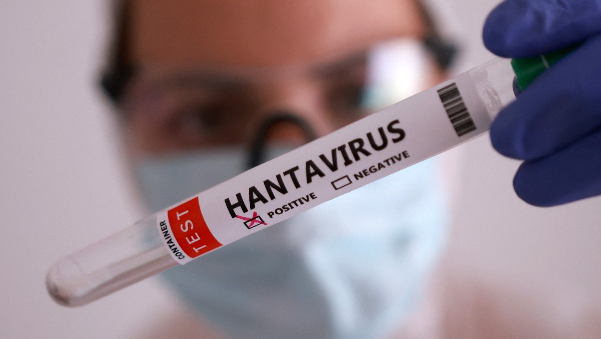 Hantavirus llega a Israel: esto sabemos del nuevo contagio- Grupo Milenio