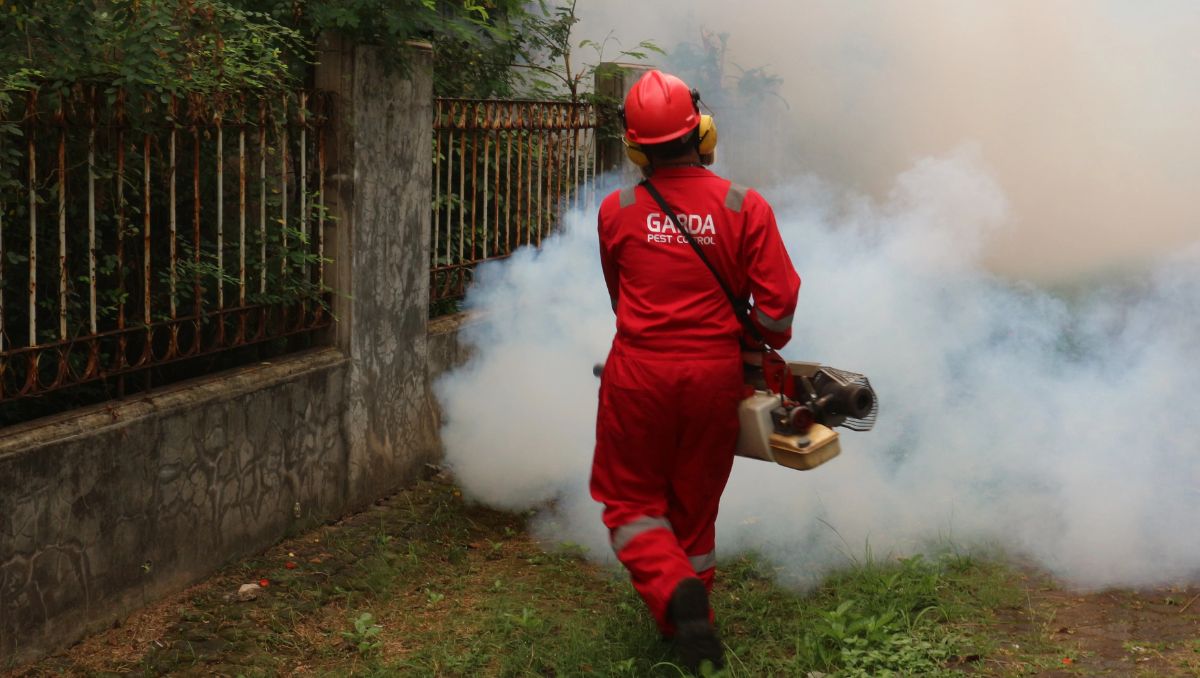 Suben a 10 las defunciones en análisis por dengue en Nuevo León- Grupo ...