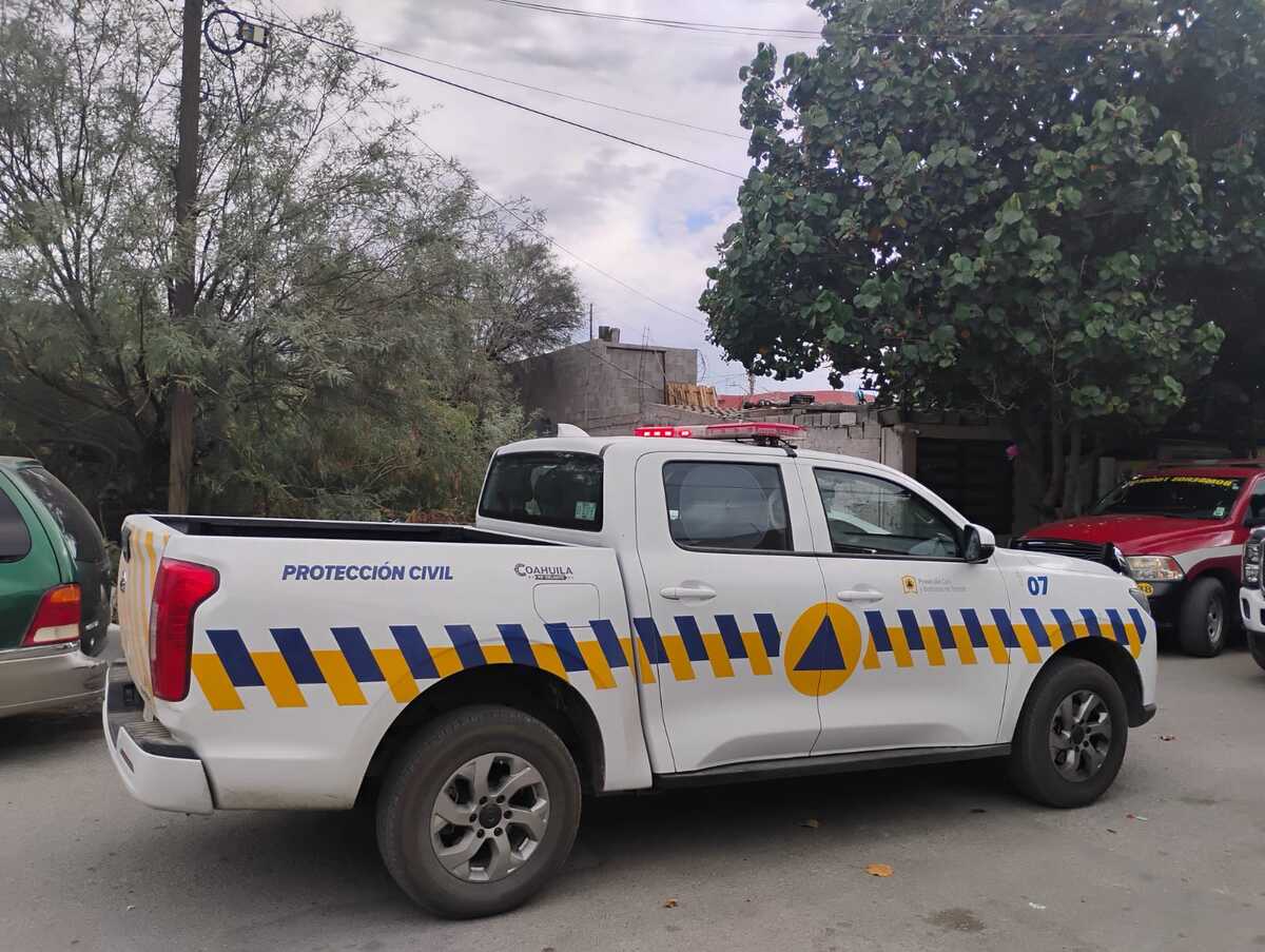 Noticias de Torreón en Milenio- Grupo Milenio