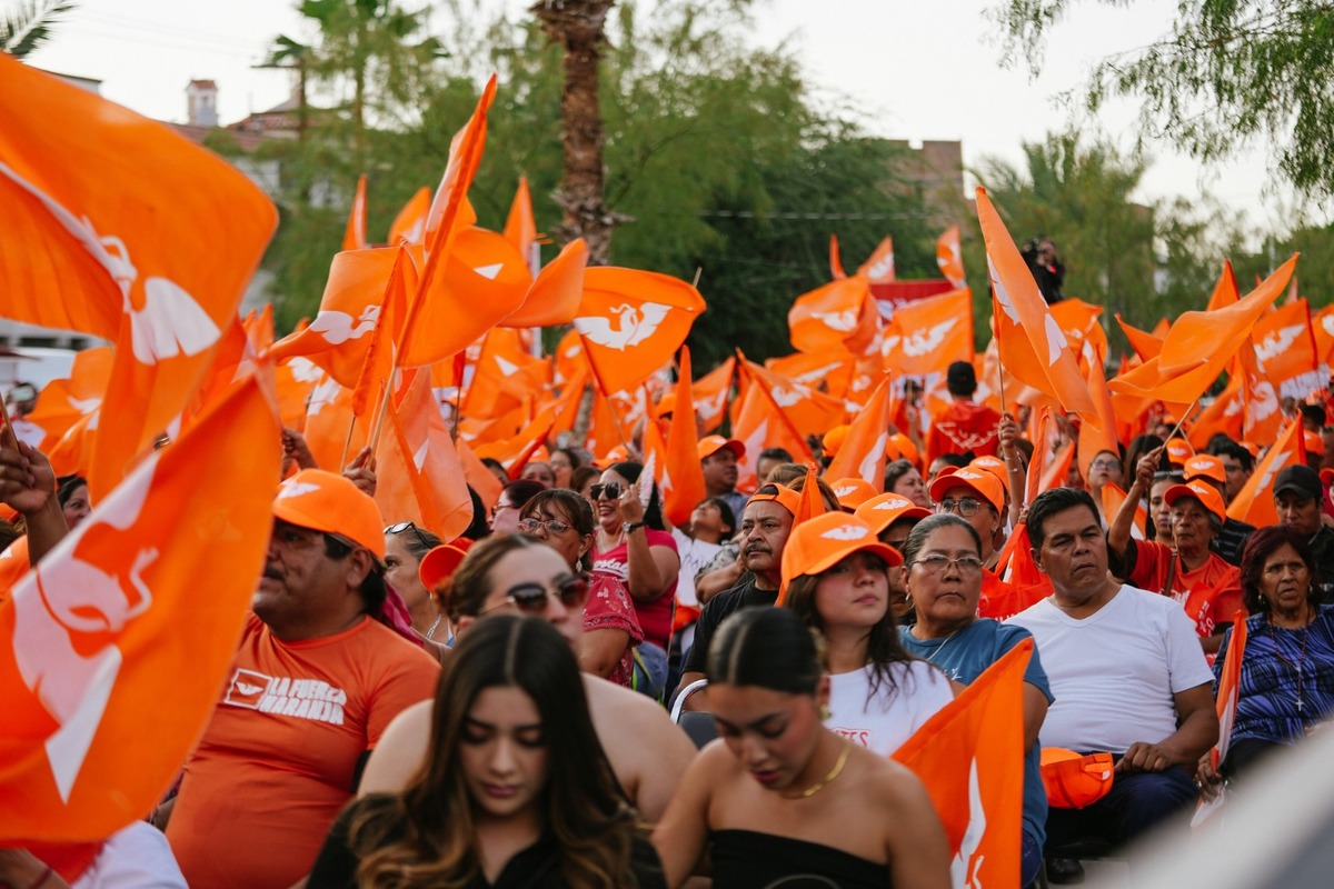 Noticias de Torreón en Milenio- Grupo Milenio