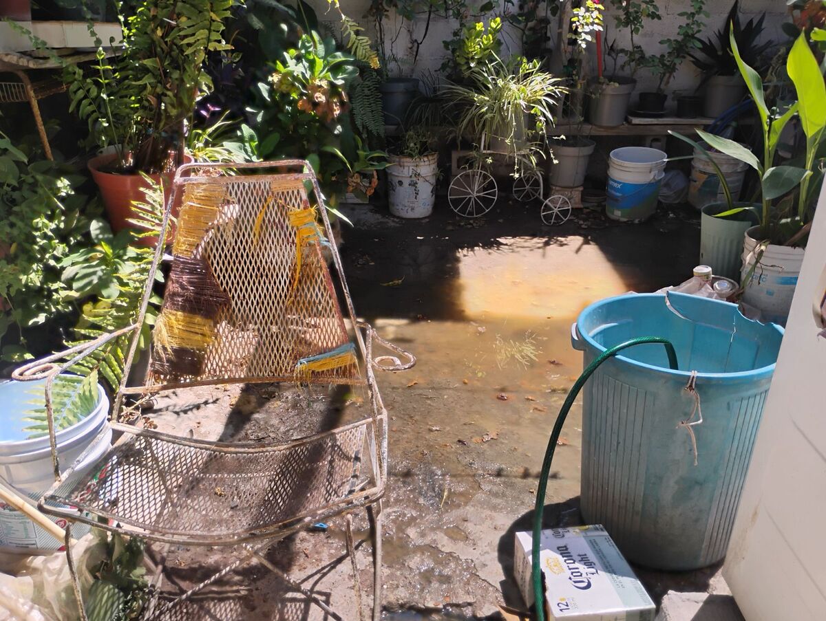 Gómez palacio.Denuncian brote de aguas negras en interior de viviendas ...