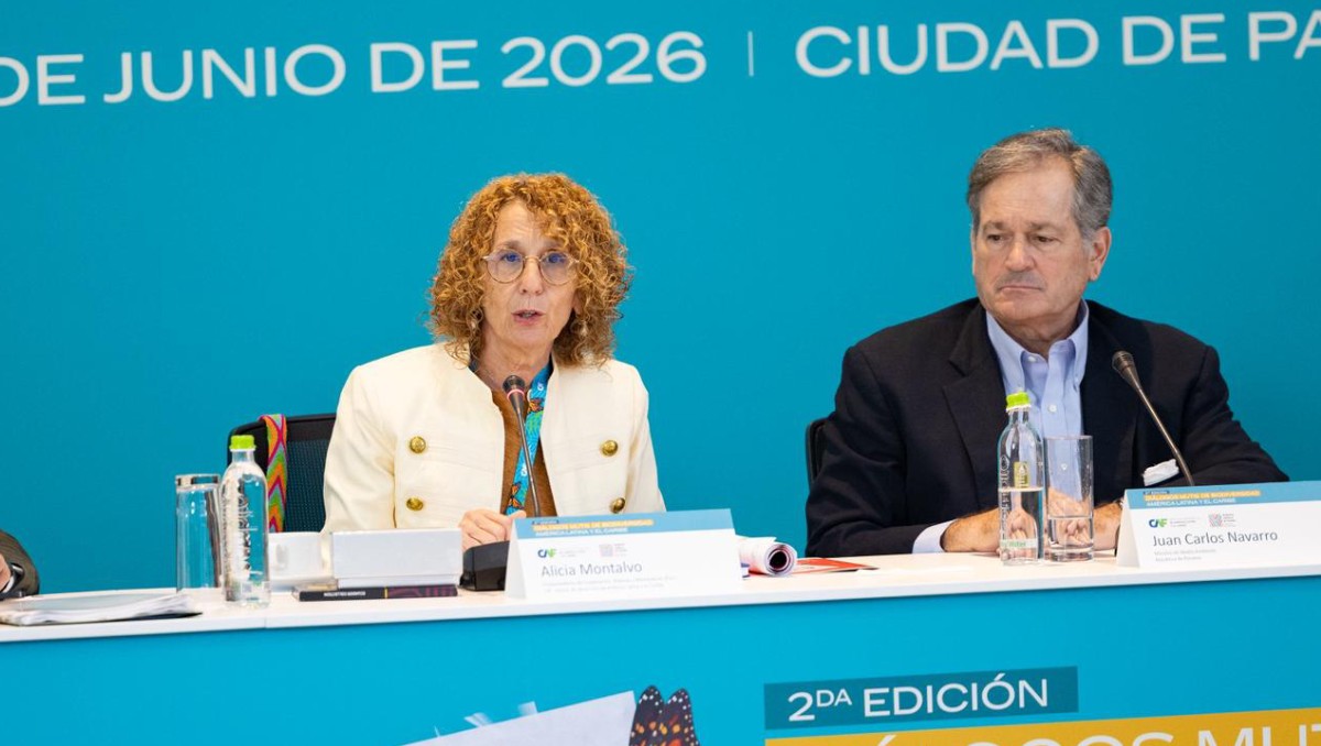 CAF ve en IA y centros de datos inversión para América Latina- Grupo ...